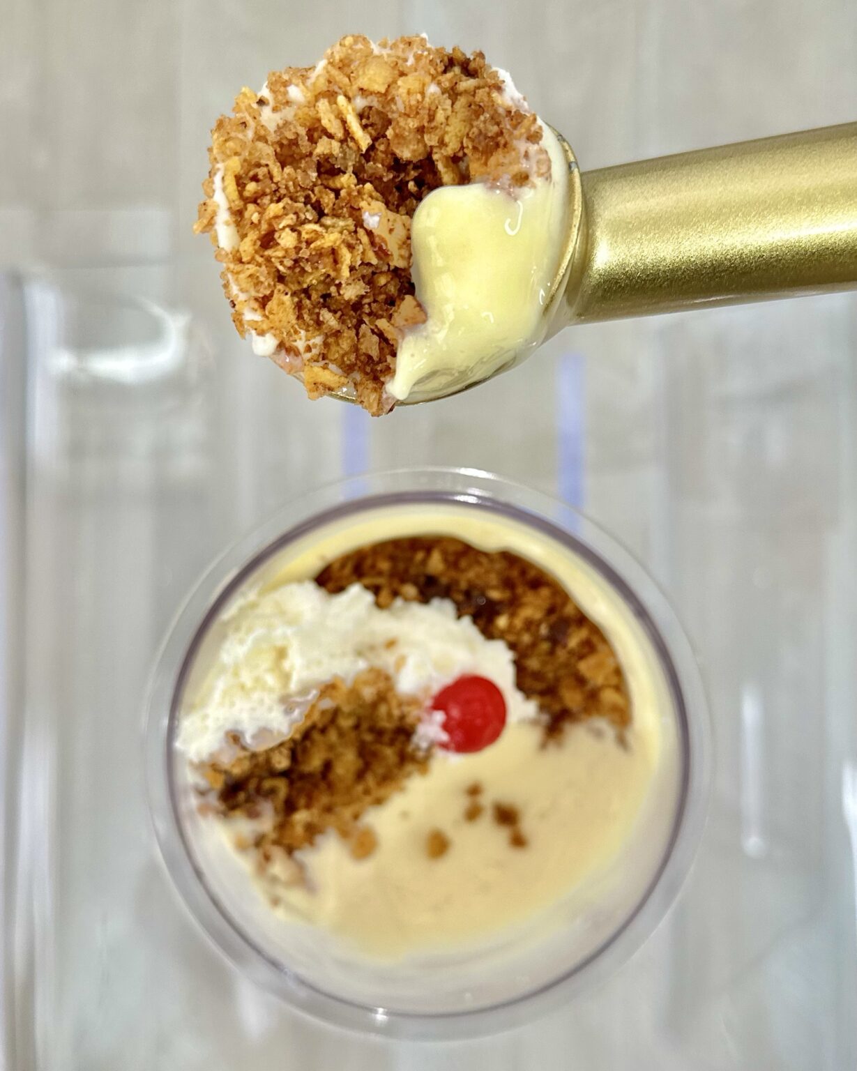 Fried Protein Ice Cream - STACY space TAYLER